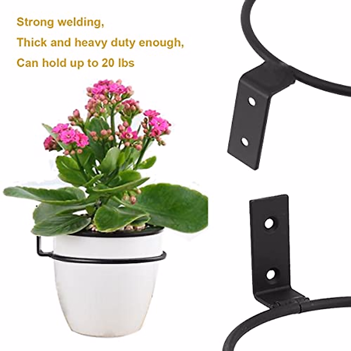 AYSUM 8 Inch Flower Pot Holder Ring 6 Pack Wall Mounted Plant Holder Ring Metal Black Hanging Basket Bracket for Home Garden Indoor Outdoor Plants Planters
