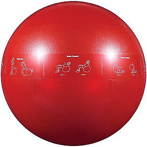 Gofit GF65PRO GF-65PRO Professional Stability 65 Cm Ball And Brook Benten DVD, Red