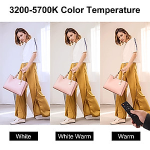 FOTOCREAT Softbox Photography Lighting Kit,19.7"X27.5" Professional Continuous Lighting System with 200W E27 Socket LED Bulbs and Remote,for Portrait Product Photo Studio Photography