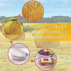 Gsinodrs Wheat Straw Plates 10 Inch (6 Pack), Light Weight Microwave Safe Plate -Unbreakable Deep Dinner Plates and Dishwasher Safe Plastic Plates Reusable for Kids Toddlers Adults, with 2 Sponges