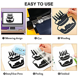 CAREGY Iron on Vinyl Heat Transfer Vinyl Roll HTV (12''x9',Black)