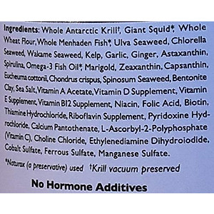 New Life Spectrum Naturox Series Cichlid Formula Supplement, 300g