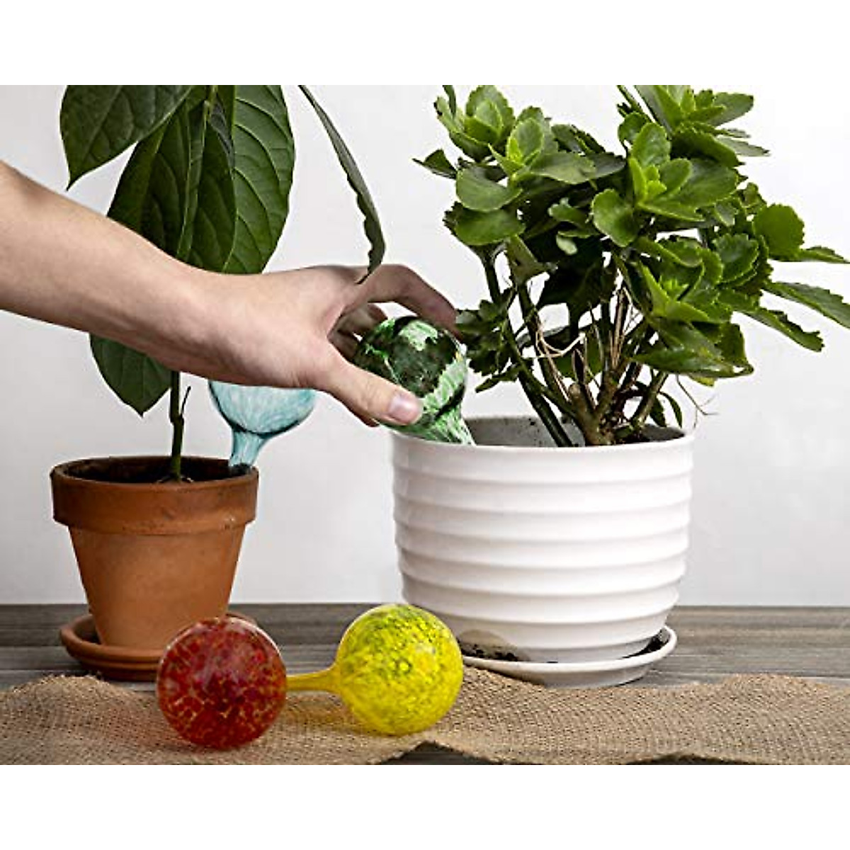Besti Large Self Watering Globes for Plants (6-Pack) Waters Greenery Up to 2 Weeks Hands Free | Durable, Multicolored Glass Craftsmanship | Indoor and Outdoor Use - Measures 12” x 3.5”