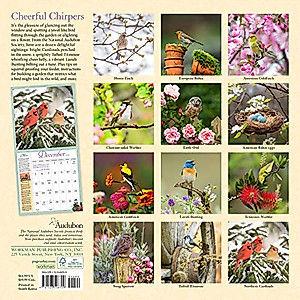 Audubon Birds in the Garden Wall Calendar 2021