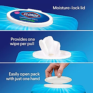Clorox Disinfecting Wipes, Bleach Free Cleaning Wipes, 75 Wipes, Pack of 3, Fresh Scent (Package May Vary)