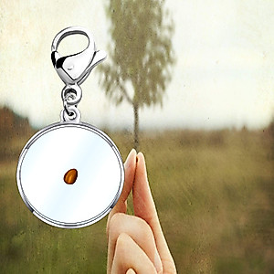 BEKECH Seed of Faith Mustard Seed Charm Zipper Pull Clip On Gift for Religious Men Women Christian Church School Sunday School Teacher Student Handbag Ornament