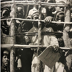 O berço da desigualdade = The cradle of inequality = La cuna de la desigualdad = Le berceau de l'inégalité.