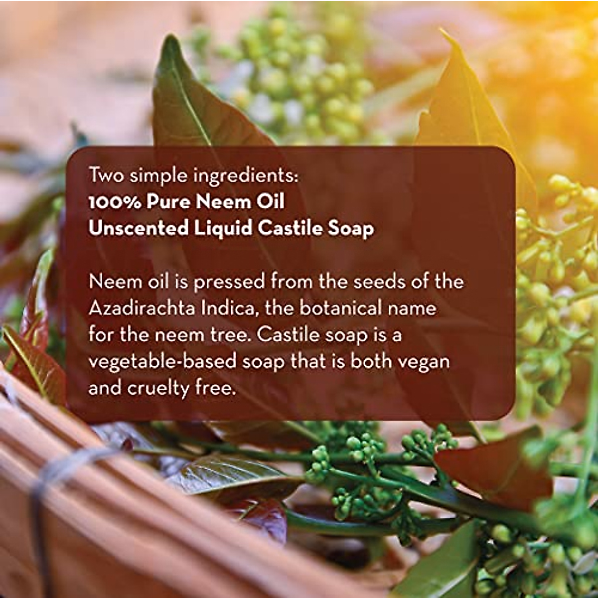 Emily's Naturals Neem Oil for Plants | Spray Kit Makes 48oz | for Outdoor Garden and Indoor House Plants | Safe and Biodegradable