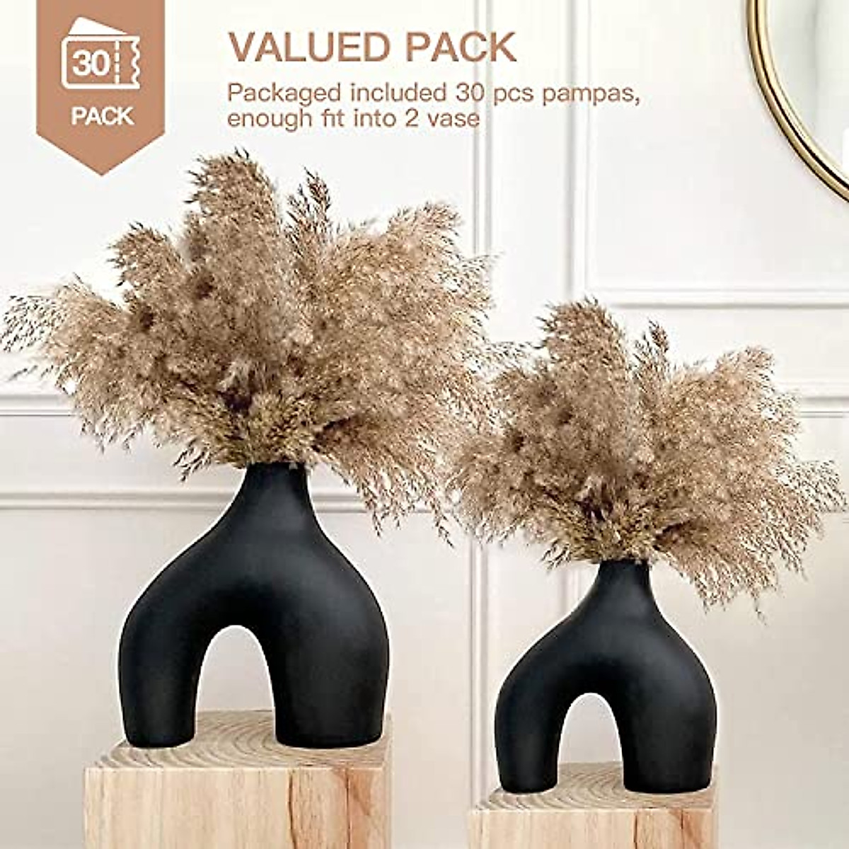 HUMINBO Pampas-Grass Pompous Dried Pampass Plants Fluffy Pompas Grasses 30 Stems Small Pompus Short