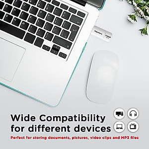 Gigastone Z60 256GB USB 3.2 Gen1 Flash Drive, R/W 120/80 MB/s Ultra High Speed Pen Drive, Capless Retractable Design Thumb Drive, USB 2.0 / USB 3.0 / USB 3.1 Interface Compatible.