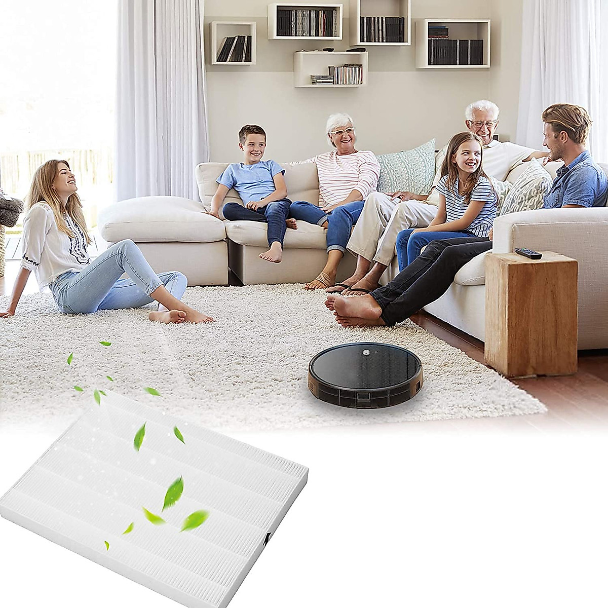 KEYJINIU - DX95 Filter Compatible with AeraMax 290 AeraMax 300 DX95 Contains (1 Filters + 4 Carbon Filters)