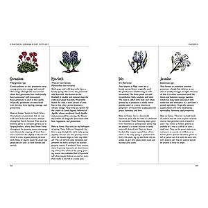 The Green Witch's Garden: Your Complete Guide to Creating and Cultivating a Magical Garden Space (Green Witch Witchcraft Series)