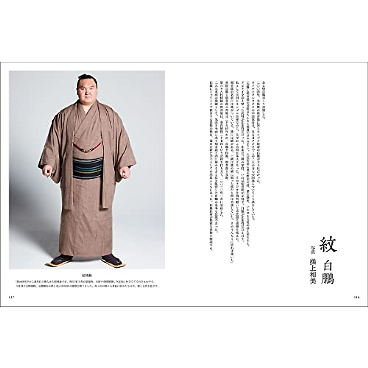 SWITCH SPECIAL ISSUE 白鵬翔 さざれ石の巌——大横綱の軌跡