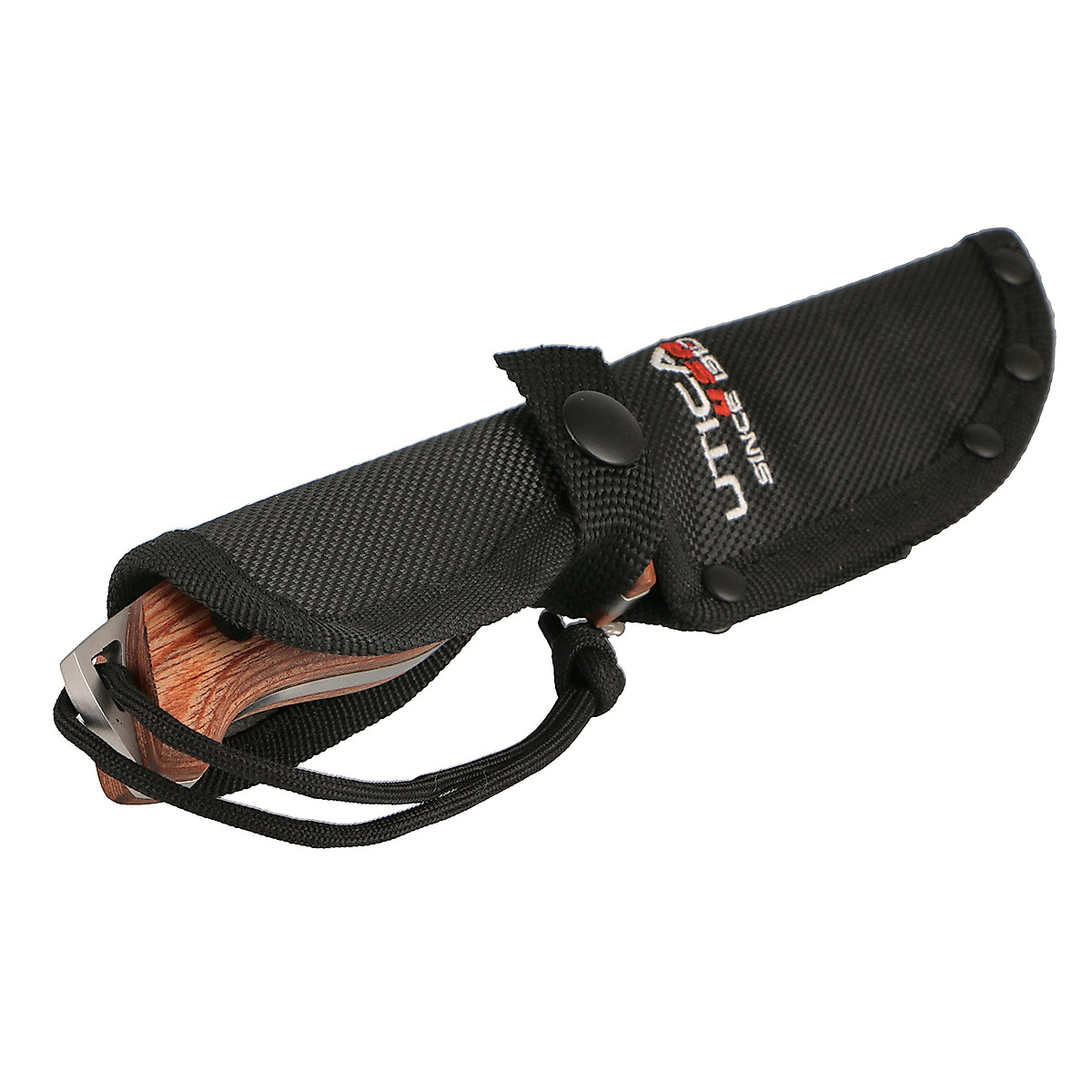 Utica Shoehorn Elk II