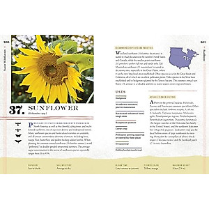 100 Plants to Feed the Bees: Provide a Healthy Habitat to Help Pollinators Thrive