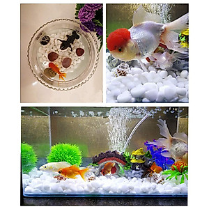 VEOAY Natural Decorative Polished White Pebbles for Landscping Home Decor, etc 0.24"-0.35"(2-lb Bag)