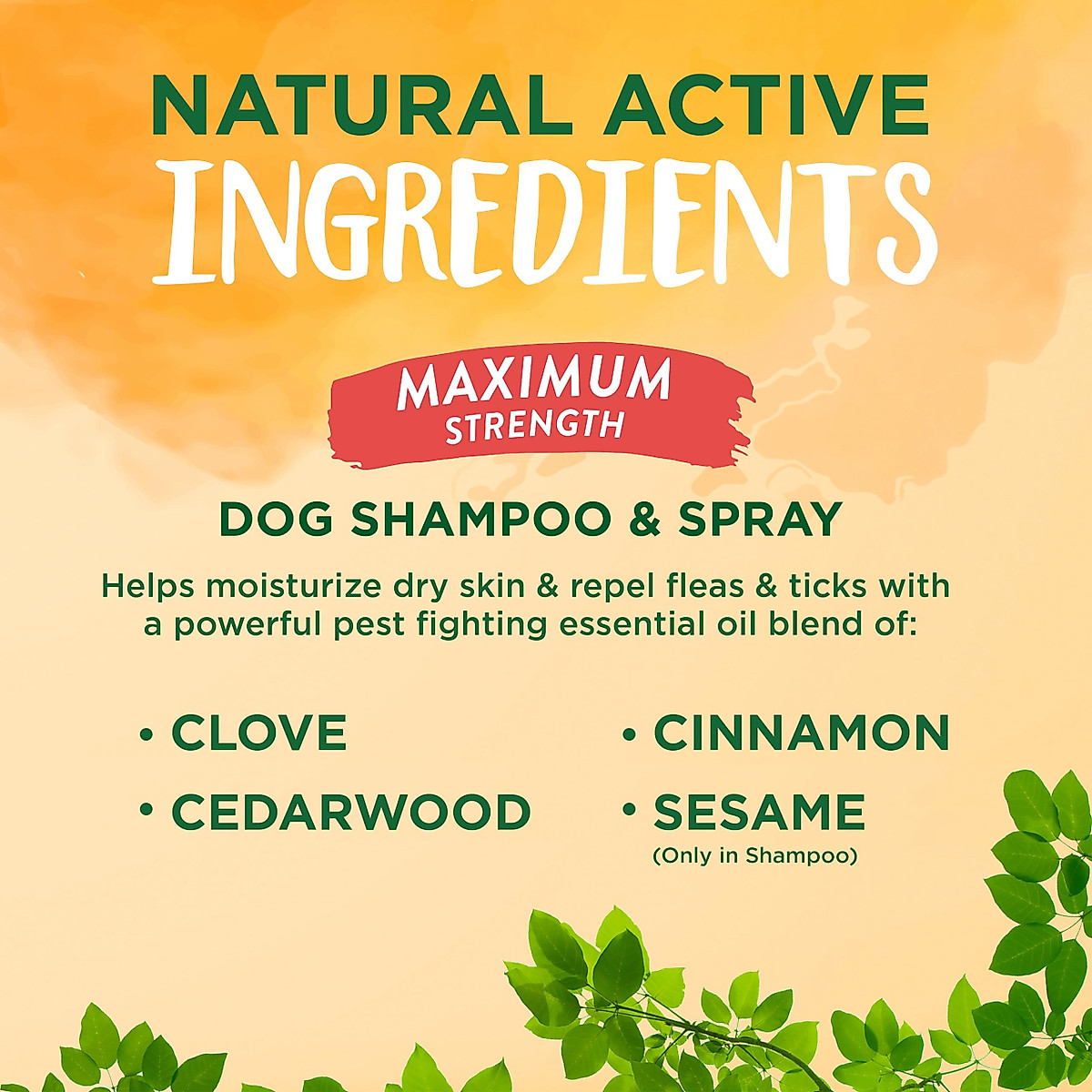 Natural Flea & Tick Max Strength Shampoo & Bedding Spray Bundle | Flea & Tick Prevention | Dog Shampoo | Flea & Tick Treatment Protects & Repels | Made in USA