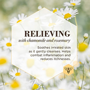 Burt's Bees for Pets Care Plus+ Naturally Derived Relieving Itch & Hot Spot Spray with Chamomile & Rosemary - Best Hot Spot Treatment for Dogs - Cruelty Free,Made in USA, 12 Oz