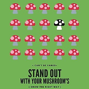 60PACK Mushroom Grow Bags, Large Extra Thick 6 Mil Spawn Bags, 4" X 3.2" X 20" 0.2 Micron Filter Breathable, Mushroom Growing Bags for Substrate Autoclavable, Mushroom Bag Tear Resistant Strong