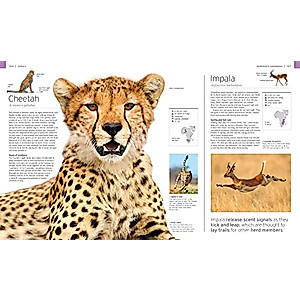 Wildlife of the World