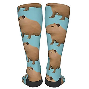 antfeagor Capybara Printable Athletic Tube Stockings Women Men Classics All-Season Cotton Crew Work Socks Sport