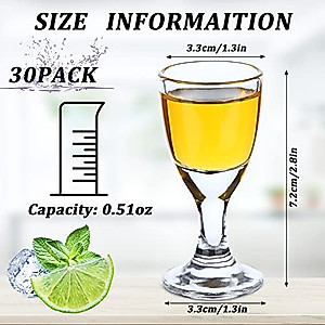 Ioffersuper 30-Pack Shot Glasses Set, 15 ml/0.5 oz Mini Shot Glasses with Stem, Mini Wine Glasses, Thickness Glass