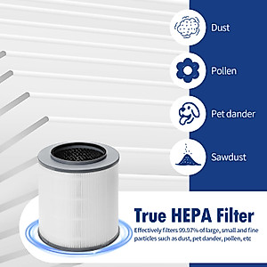 Senowi 2 Pack 12030 Medium Room True HEPA Air Purifier Replacement Filter Compatible with Clorox 11030 & 11031 Air Cleaner Purifier for Home, 1,000 Sq. Ft. Capacity, Part #12030
