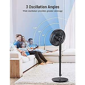 Paris Rhône Fans for Home Bedroom, Quiet Pedestal Floor Fan with Remote, Turbo&12 Speed Levels, 120° Oscillating, DC Motor Fan with 7 Blades, 8H Timer, Sleep Mode, Adjustable Height up to 46.8"