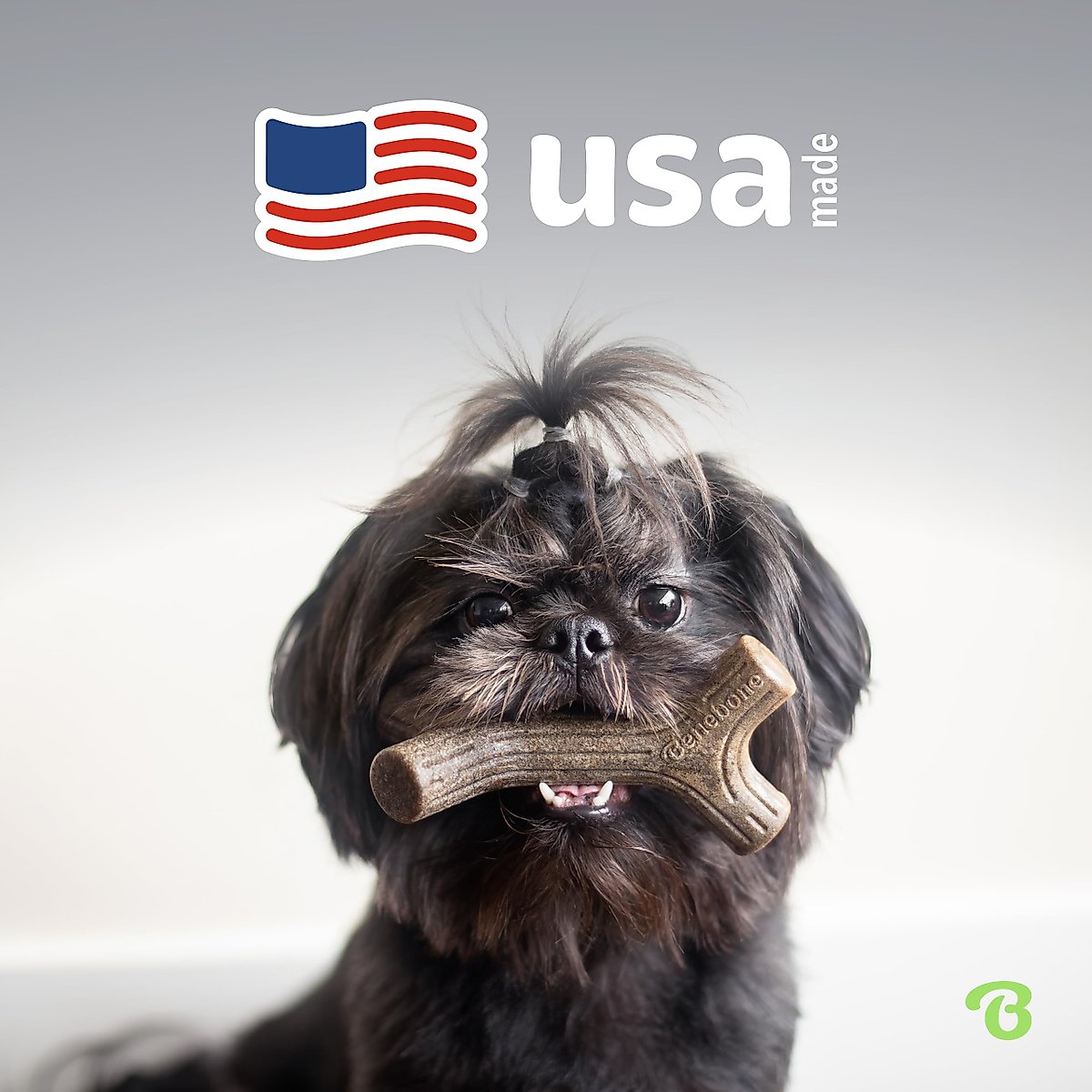Benebone Small 4-Pack Dog Chew Toys for Aggressive Chewers, Made in USA, 30lbs and Under