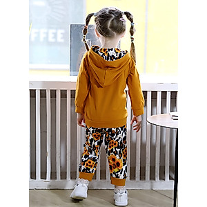Baby Girl Clothes Floral Hoodie Long Sleeve Sweatshirts Pants Set Toddler Girls Fall Winter Outfits Sweatsuits (yellow, 4/5T)