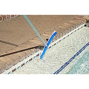 Poolmaster 18100 Curved Swimming Pool Brush Head, 17.5-Inches, Essential Collection, Blue