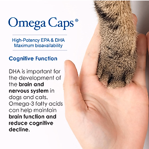 Omega-Caps Extra Strength Liquid for Cats & Dogs. Vet Formulated for Healthy Radiant Skin & Coat, Reduces Excess Shedding. Contains EPA, DHA, & Omega 3 for Joint, Heart & Immune System Support. 16 OZ.