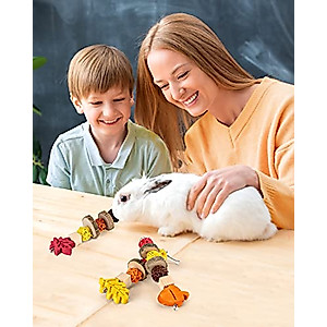 Xylolfsty Fall Themed Chew Toys for Rabbit Dwarf Hamster Bunny Guinea Pig Chinchilla Gerbil Pet Rat Small Animals Cage Hanging Teeth Grinding Accessories Autumn Thanksgiving Gifts 3PCS