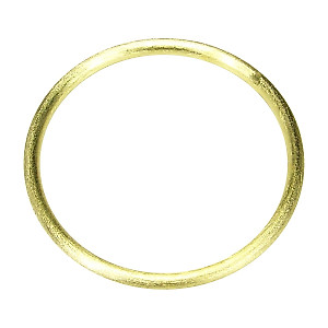 Sheila Fajl Round Tubular Bangle Bracelet in Brushed Gold Plated