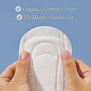 Rael Incontinence Liners for Women, Organic Cotton Cover - Postpartum Essential, Regular Absorbency, Bladder Leak Control, 4 Layer Core with Leak Guard Technology, (Regular, 48 Count)