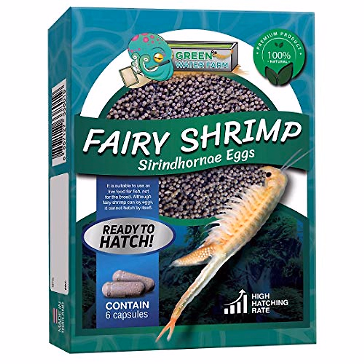 GREEN WATER FARM Greenwaterfarm Fairy Shrimp Sirindhornae Eggs Live Fish Food for Hatching and Culture Suitable for Feed Betta Fish