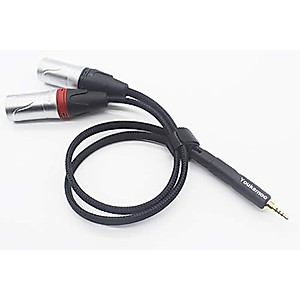 Youkamoo 2.5mm Trrs to Dual XLR Male Cable Balanced Audio Headphone Adapter Cable 1 FT 0.3M