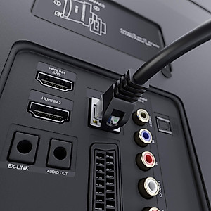 KabelDirekt Network Cable – Transmits Maximum Fiber-Optic Internet Speed – Network, Ethernet & LAN Cable – 100ft – Available in 1-100ft – for Gigabit Networks, Router/Modem, RJ45 (Black/Silver)