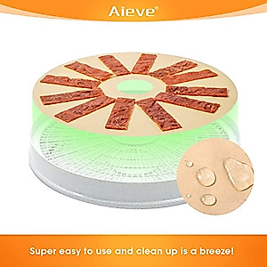 AIEVE Dehydrator Parchment Paper Compatible with Nesco Dehydrator, Non-stick Round Food Dehydrator Sheets Fruit Dehydrator Mats Compatible with Nesco Food and Jerky Dehydrator NESCO Snackmaster