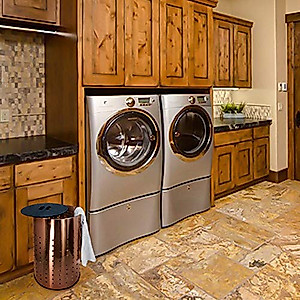 Brushed Gold Laundry Bin & Hamper | 50L Ventilated Stainless Steel Clothes Basket With MDF Lid | Life Time Warranty| (Brushed Gold)