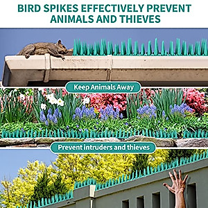 TAISHAN Bird Spikes,10 Pack Plastic Squirrel Raccoon Pigeon Cat Animal Deterrent Spikes for Anti Outdoor Outside to Keep Birds Away,Anti Fence Railing and Roof, Green