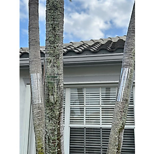 IggyWrap Iguana Tree Wrap for Iguana Prevention 57"