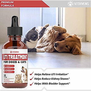 Dog UTI Treatment | Cat UTI Medicine | Cat UTI Remedy | Cranberry Supplement for Dogs | Pumpkin for Cats | Dog UTI | Cat UTI | Cranberry for Dogs | Cat Urinary Tract Infection Treatment | 1 fl oz