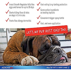 Adams Flea & Tick Spray Plus Precor 16 oz - Pack of 3