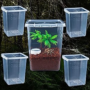 5 Pack Spider Terrariums Breeding Box Insect Hatching Container Acrylic Breeding Box for Arboreal Spider Tarantula Mantis Scorpion Centipede Small Reptiles
