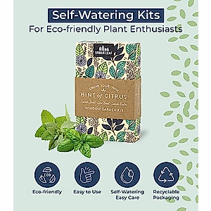 Herb Garden Kit Indoor - Grow Fresh Herbs Plants Hydroponically Indoors with this unique Window Garden Kit - Bottle Stopper Gardening Kit - Kitchen Windowsill Planter Grow Live Herbs At Home from Seed