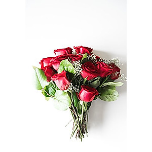 From You Flowers - One Dozen Long Stemmed Red Roses with Free Vase (Fresh Flowers) Birthday, Anniversary, Get Well, Sympathy, Congratulations