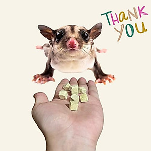 PETIVORE Premium Freeze Dried Duck Meat - High Protein - for Sugar Glider, Hamster, Chinchillas, Marmoset, and Other Small Exotic Pet Treats (15g.)