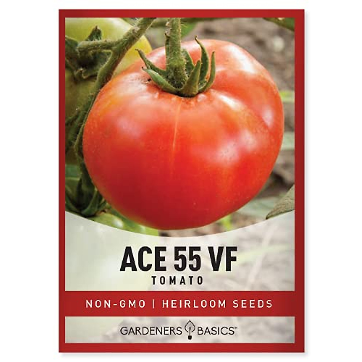 Ace 55 VF Tomato Seeds for Planting Heirloom Non-GMO Seeds for Home Garden Vegetables Makes a Great Gift for Gardening by Gardeners Basics