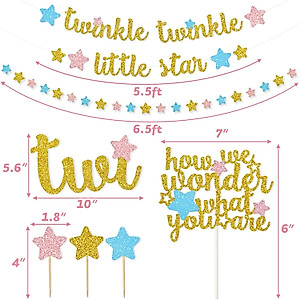 Twinkle Twinkle Little Star Party Decor Gender Reveal Birthday Party Decorations Pinkk Blue Gold Star Banner Cake Topper Balloons Moon and Star Boy or Girl He or She Baby Shower Supplies